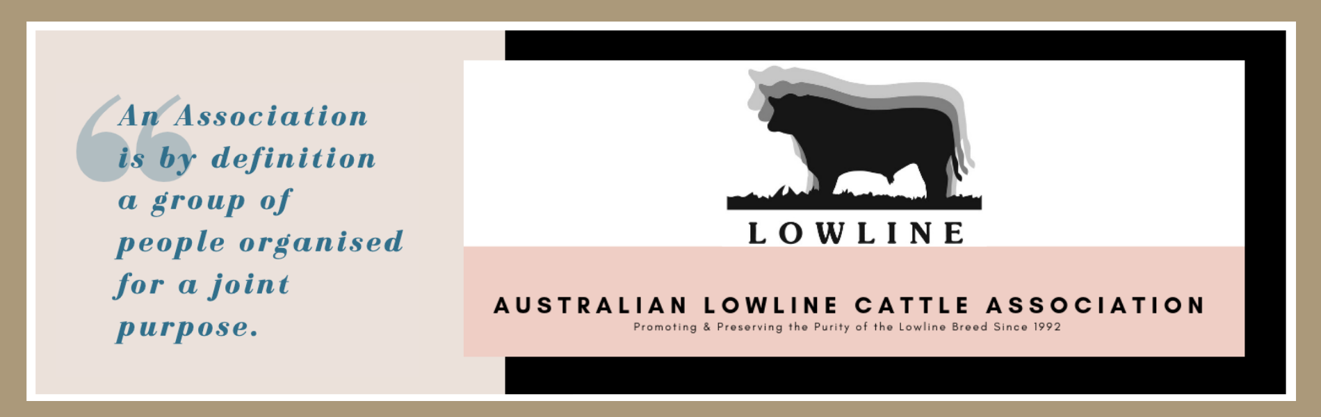 About Australian Lowline Cattle Association - ALCA