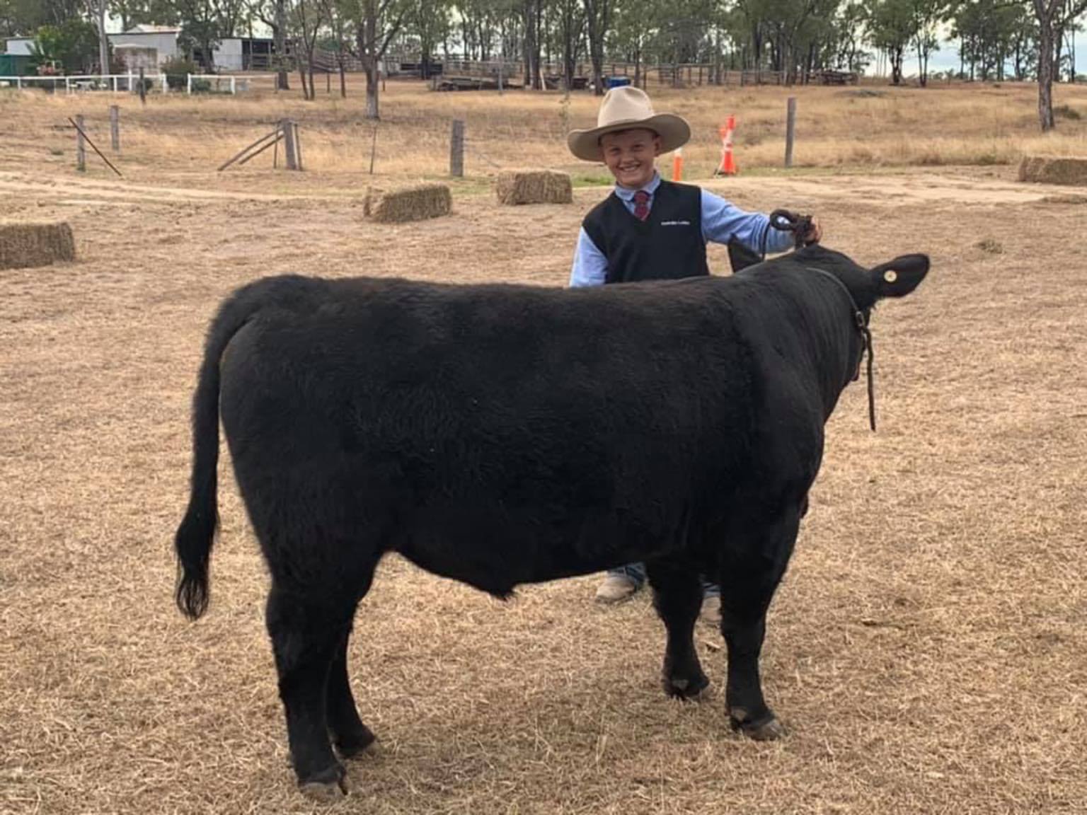 And the winner is..... - Australian Lowline Cattle Association